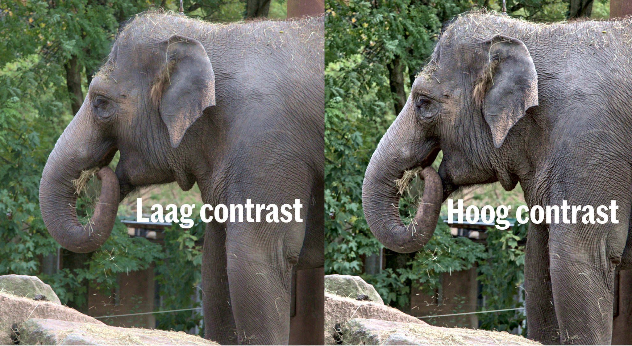 Fotografie Tips & Tricks - Fotoclub.nl